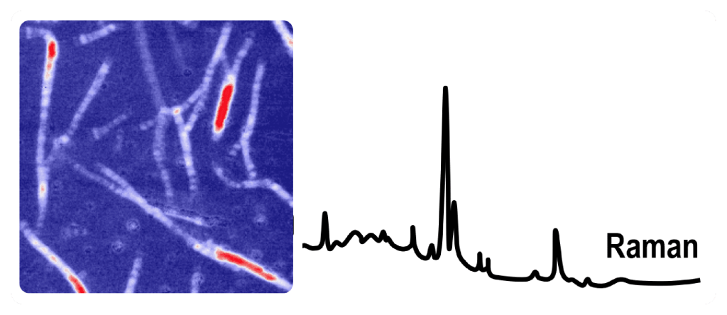 Nanoscale Optical Imaging and Spectroscopy (neaSCOPE) กล้องจุลทรรศน์ ...