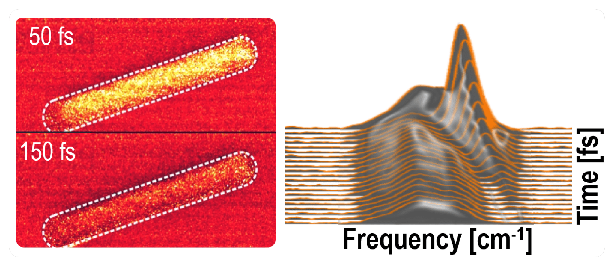 Nanoscale Optical Imaging and Spectroscopy (neaSCOPE) กล้องจุลทรรศน์ ...